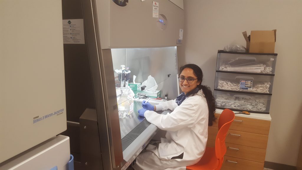 Lab News – Sutton Lab – UMBC